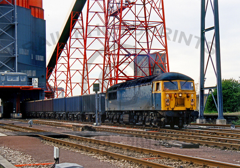 Rail Photoprints | Class 56