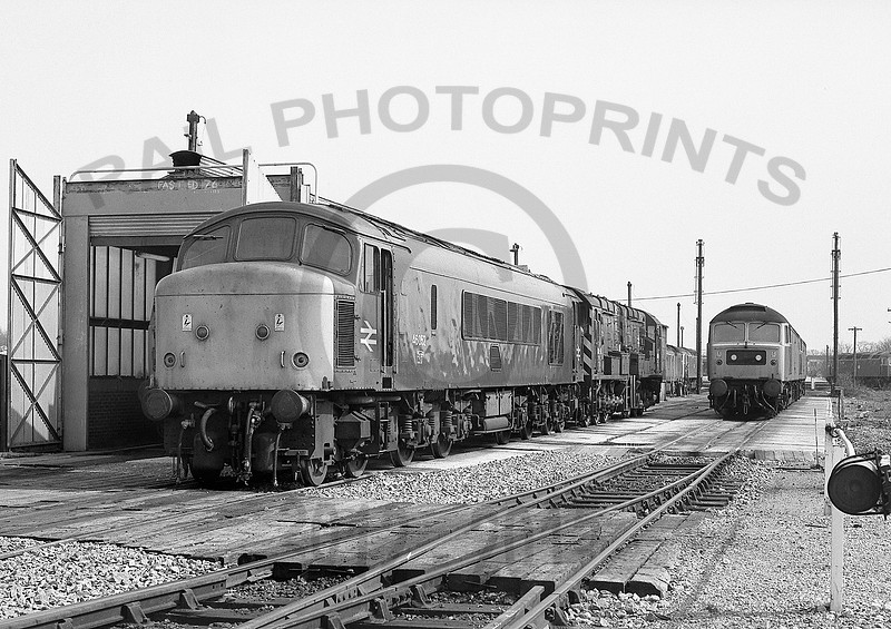 Rail Photoprints | Class 46 | 46052-Y-Westbury-130480-RP135